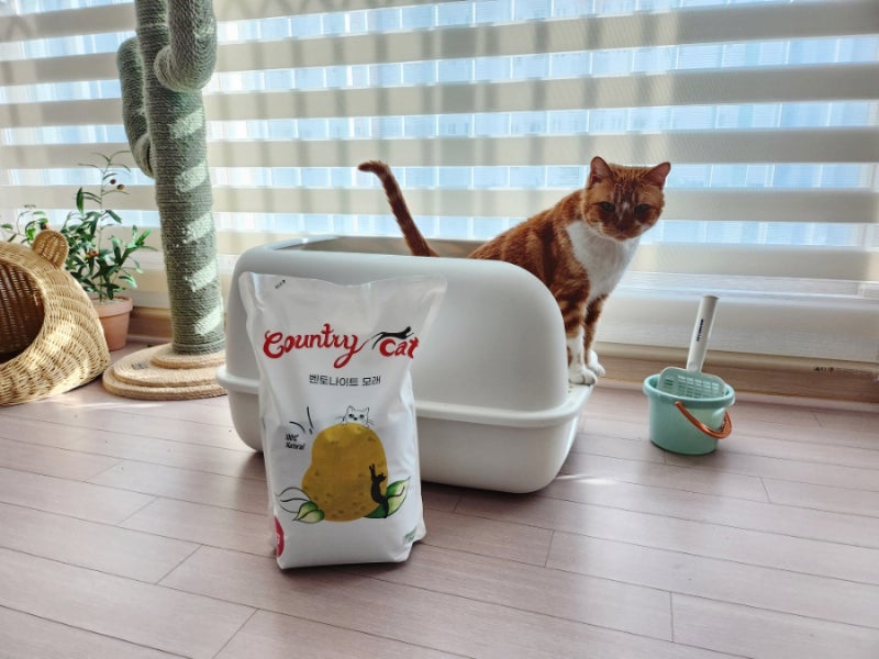 먼지 없는 벤토나이트 고양이 모래 추천 컨츄리캣 신상 소프트믹스 : 네이버 블로그