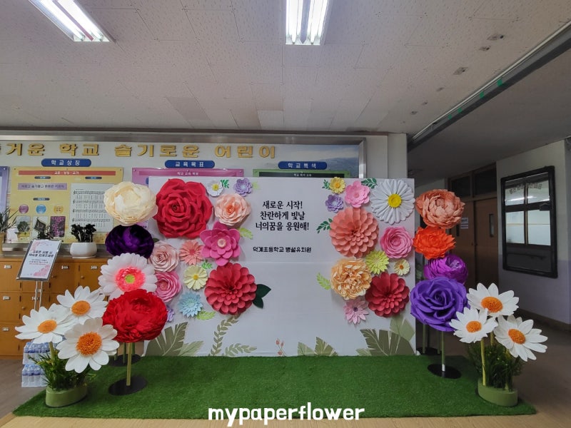 양산 덕계초등학교 병설유치원 졸업식 종이꽃포토존 부산김해양산울산경주진주창원 등 출장가능 네이버 블로그
