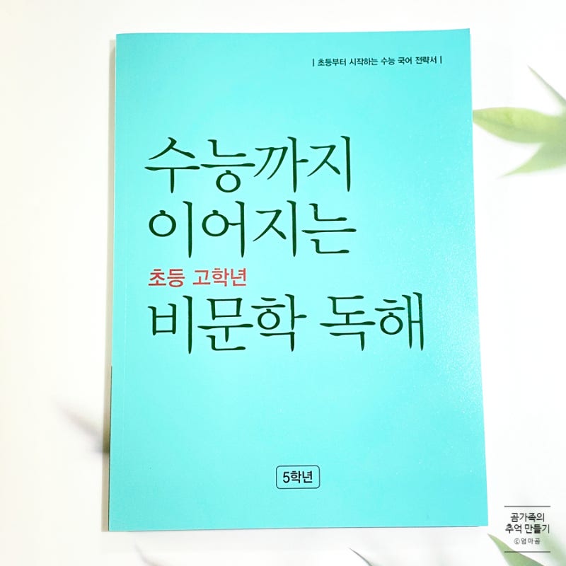 초등독해문제집 수능까지 독해 비문학편으로 문해력 기르기 네이버 블로그