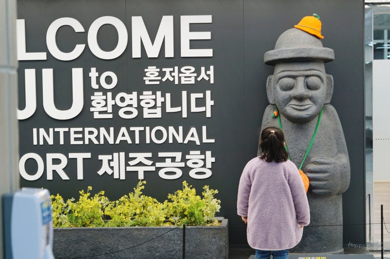 제주 우도 배시간 우도가는배 예약 선착장 우도 입도 입장료 및 차량승선 가격 네이버 블로그