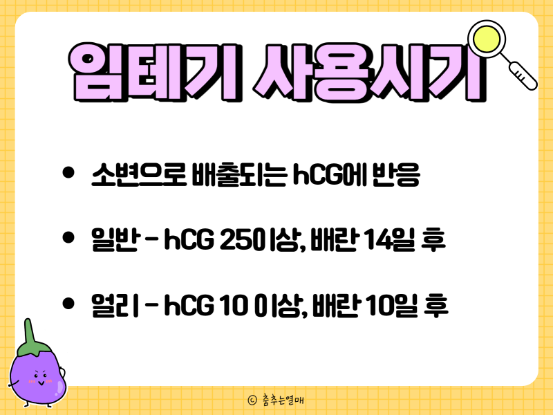 Hcg 수치 더블링 임신 피검사와 임테기 사용시기 네이버 블로그