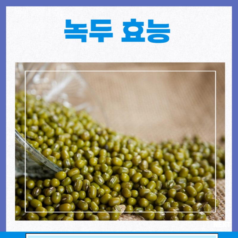 녹두 효능 녹두전 녹두죽 효능 부작용 네이버 블로그