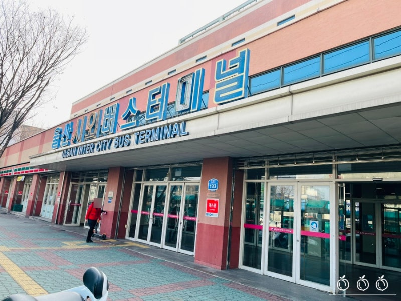 울산 시외버스터미널 시간표 및 정보 안내 23년 1월 최신화 네이버 블로그