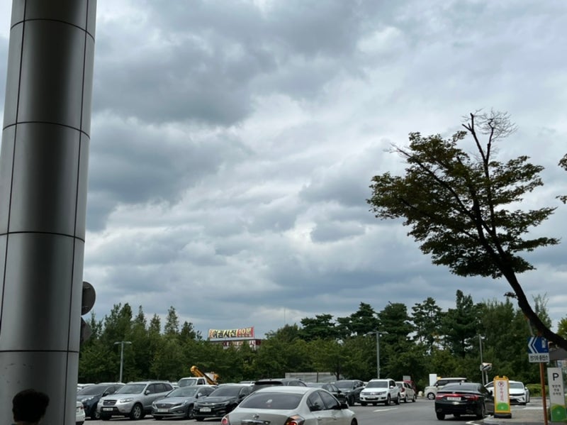 성남시청 여권 신규 발급 기간과 비용 준비물까지 알아보기 네이버 블로그