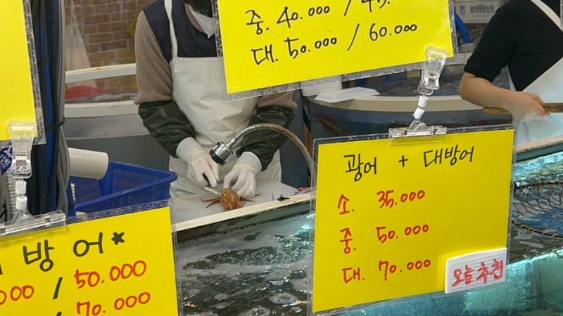 강릉중앙시장횟집 은총횟집 겨울 강릉 여행 회 추천🙌🏻방어 광어 오징어 도다리 네이버 블로그