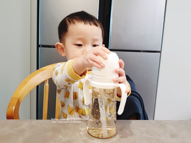 그로미미 콜라보 원터치캡 토비앤몰리 돌아기 첫 빨대컵 추천 네이버 블로그