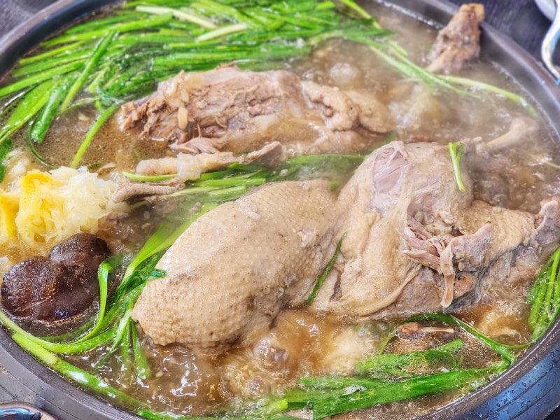 마산 중리 내서 맛집 한방 오리백숙 가족외식하기 좋은 식당 네이버 블로그