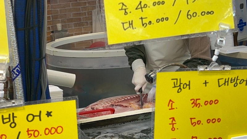 강릉중앙시장횟집 은총횟집 겨울 강릉 여행 회 추천🙌🏻방어 광어 오징어 도다리 네이버 블로그