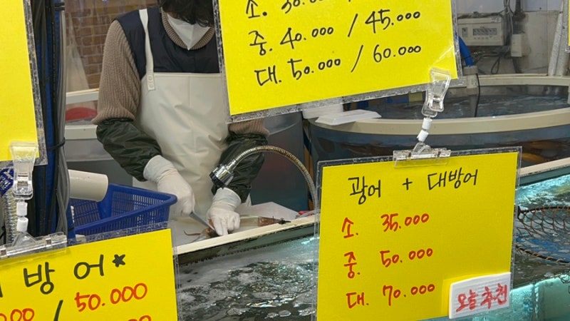 강릉중앙시장횟집 은총횟집 겨울 강릉 여행 회 추천🙌🏻방어 광어 오징어 도다리 네이버 블로그