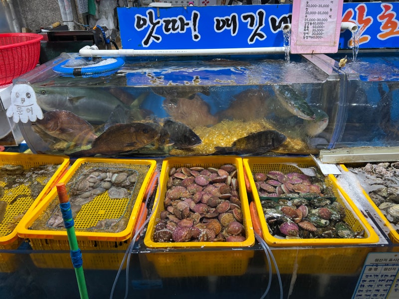 여수 수산물특화시장 새조개와 해산물 먹거리 사기 좋은 곳 네이버 블로그