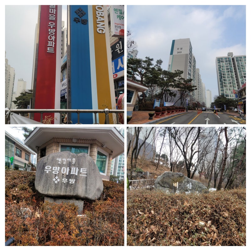 성남시 분당구 분당신도시 아파트 임장서현동수내동정자동시범단지삼성한신시범한양시범현대분당중앙공원파크타운청구파크타운