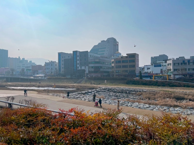 대전 여행 코스 대전 중앙시장 먹거리 투어는 필수지 네이버 블로그