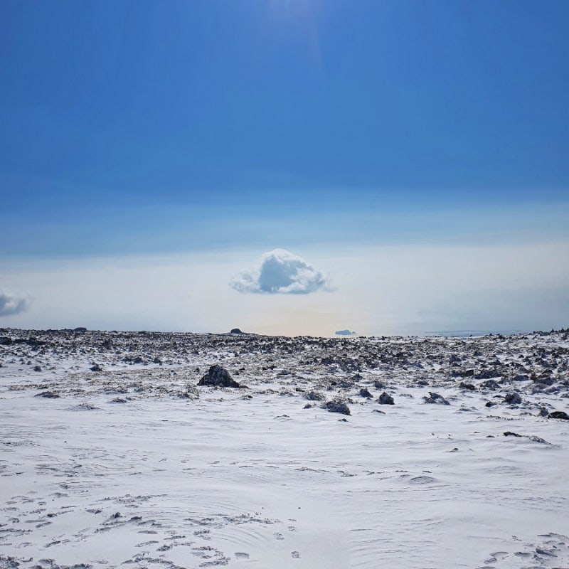 제주 겨울 윗세오름 한라산 영실코스 겨울 제주 여행지 등산 초보자에게 추천 ☃️ 네이버 블로그