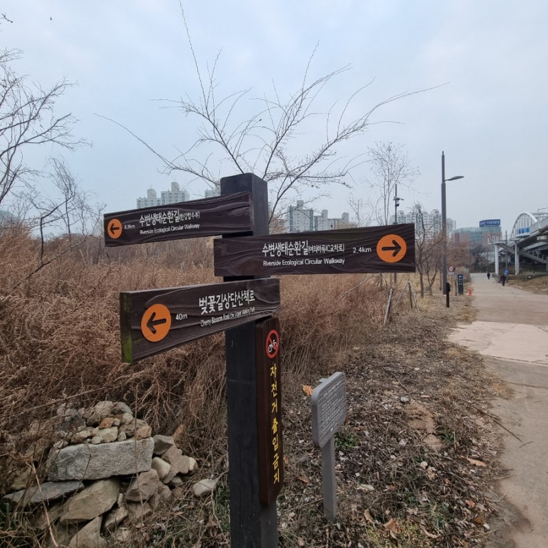 서울러닝코스10km 여의도여의도샛강수변생태순환길 러닝코스 달리기~ 샛강생태공원 마리나선착장 서강대교 마포대교 원효대교