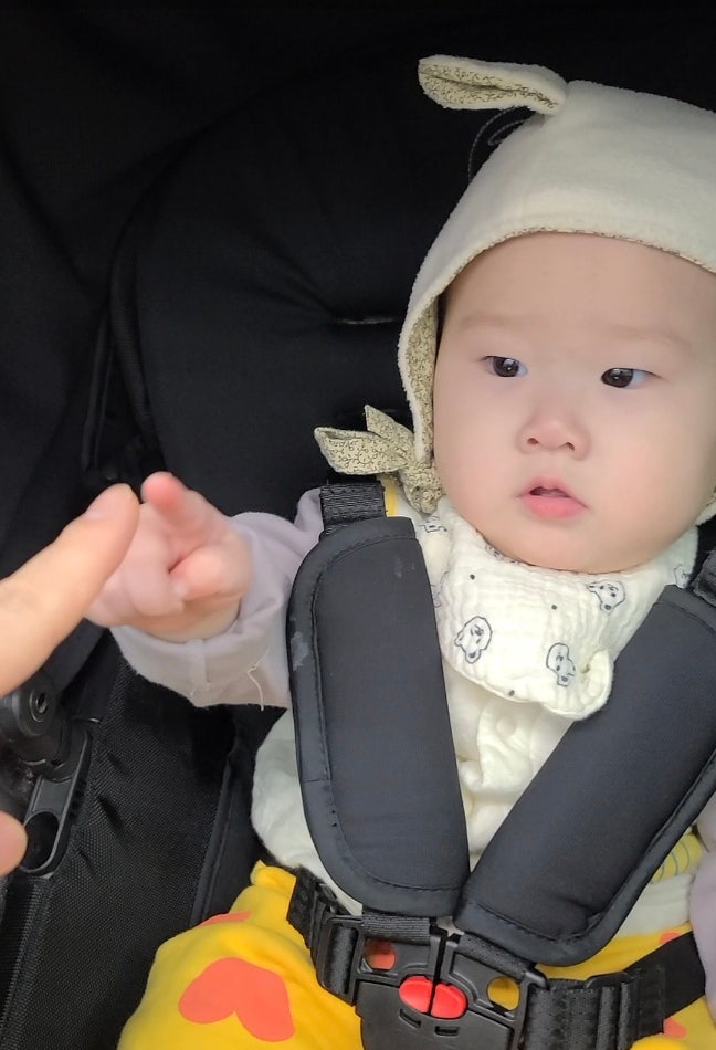 까다로운 기질difficult Temperament의 아기 3가지 아기 기질 분류 네이버 블로그