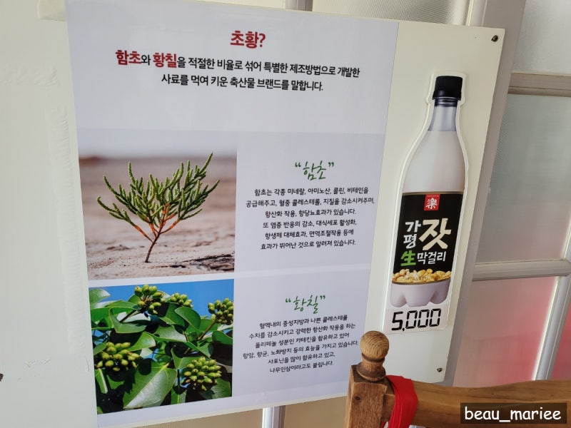 가평 맛집 감나무집 뜨끈한 누룽지 삼계탕으로 몸보신을 가평역 맛집 추천 내돈내산 네이버 블로그