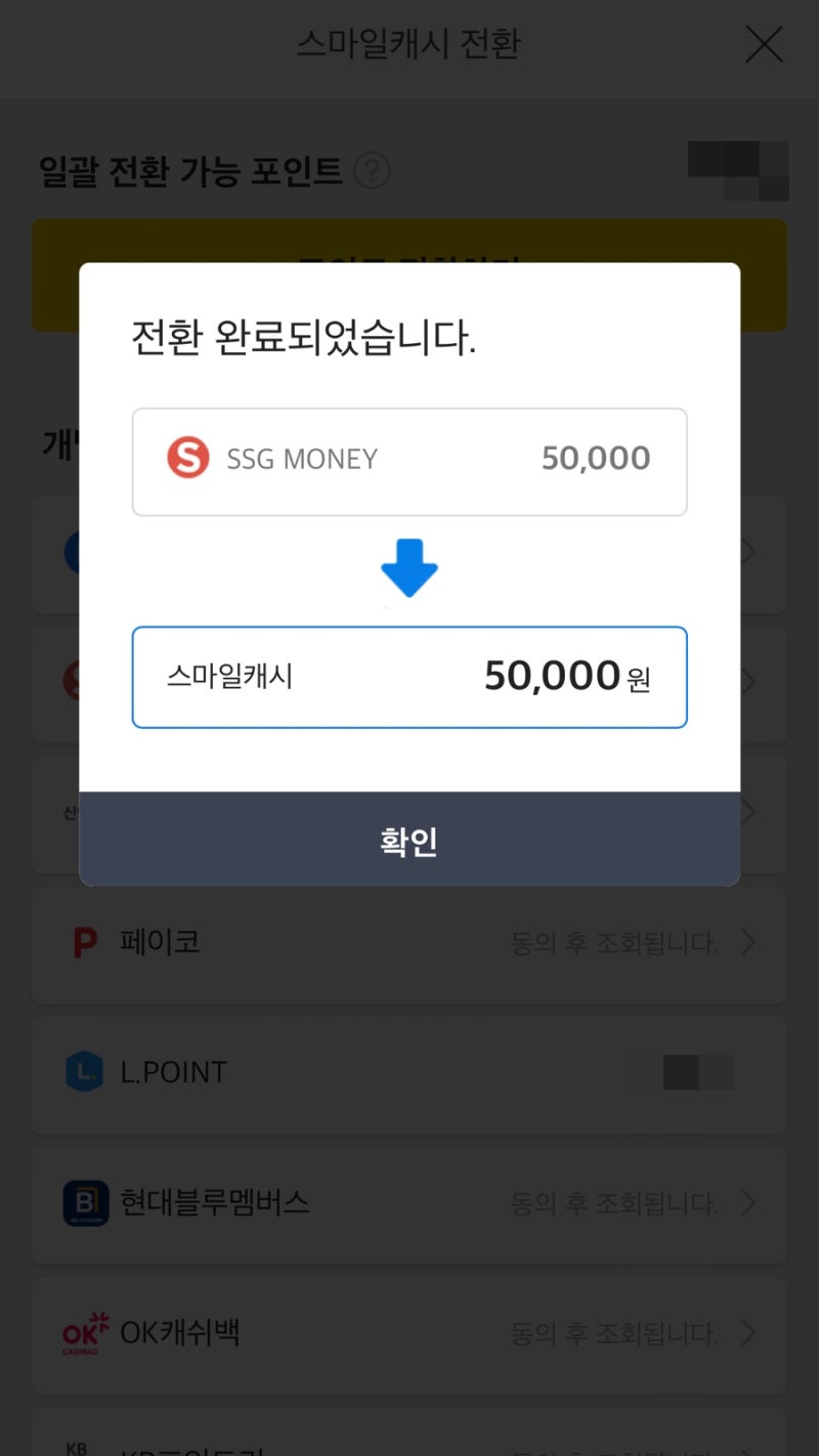 신세계상품권으로 지마켓 쇼핑하기! 쓱페이(SSGPAY)에서 신세계상품권 충전하는 방법(온라인 사용처 등) : 네이버 블로그