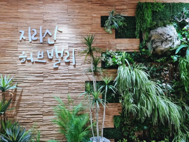 남원여행 지리산허브밸리 전주근교 식물원 아이와 가볼만한곳 네이버 블로그