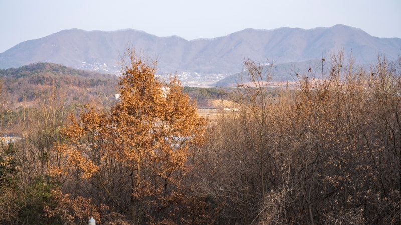 대전 근교 논산 계백장군유적지 탑정저수지 주변 산책하기좋은곳 네이버 블로그