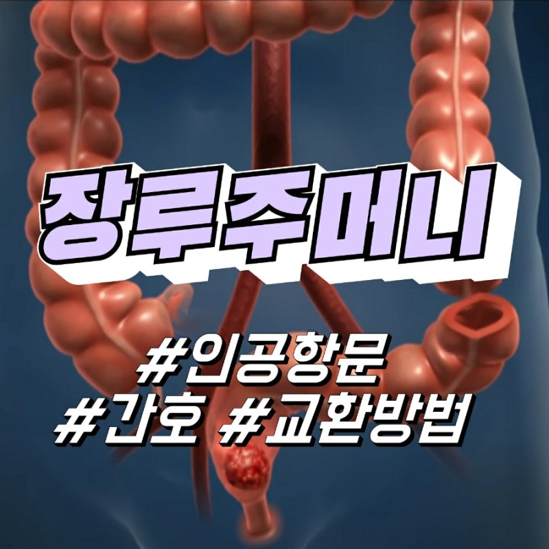 네이버 인플루언서
