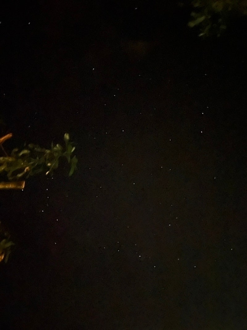 태국 치앙마이 방갈로숙소 타완 리버사이드 엘리펀트리조트 (Tawan Riverside) 코끼리호텔,타완레스토랑 후기 - 1day ...