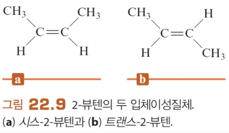 [화학] 탄화수소(알케인, 알켄, 알카인) & 탄화수소 유도체 : 네이버 블로그