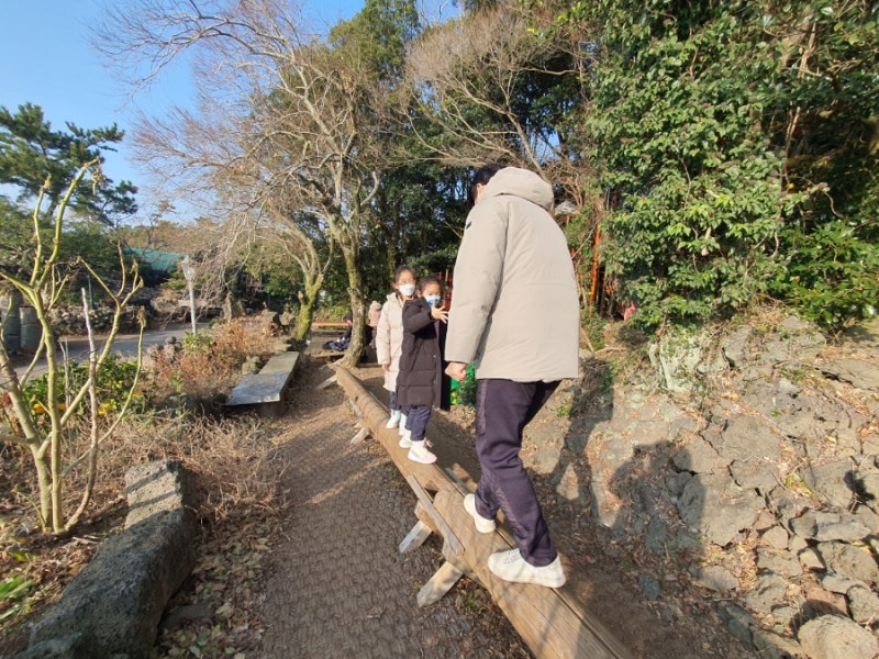제주 환상숲 곶자왈 숲해설 And 족욕체험 네이버 블로그