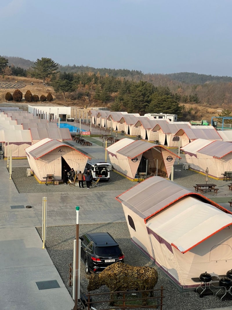 경북 영천 아우노펠리스 글램핑 야외수영장온수풀 이용후기 네이버 블로그