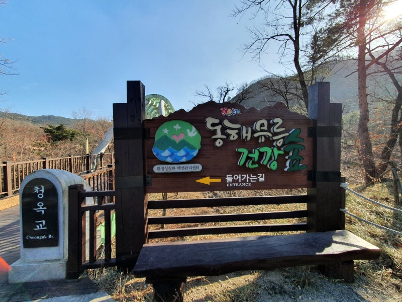 현존하는 무릉도원 동해 무릉계곡 입장료 및 무릉반석 네이버 블로그