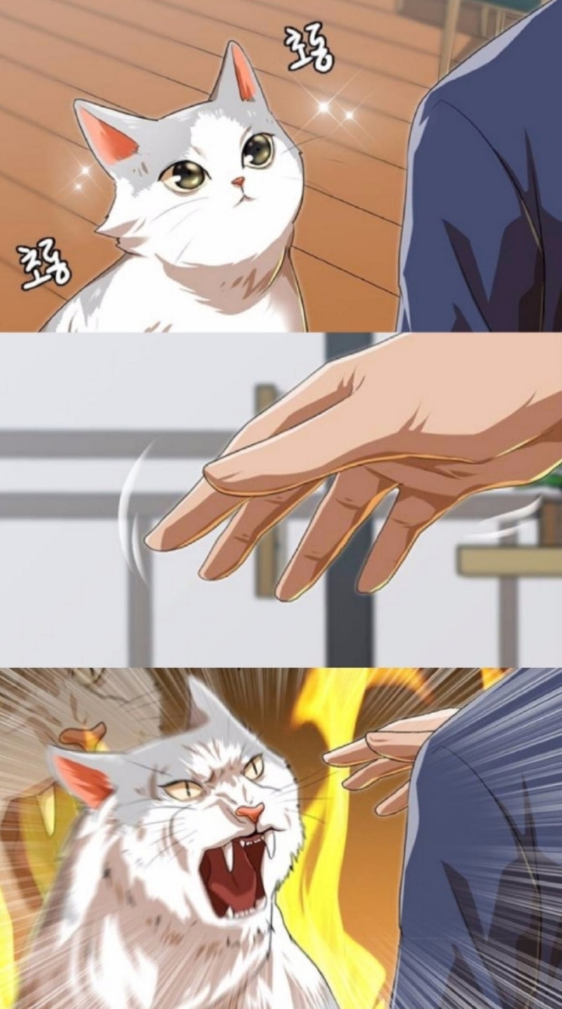 찐잇팁이 말하는 잇팁의 모든 것 [ISTP 총정리] 특징, 빙고, 이상형, 연애, 연예인, 짤 모음 : 네이버 블로그