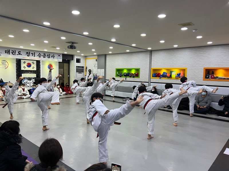 2022년도 박사경희대태권도 공개승급심사 네이버 블로그