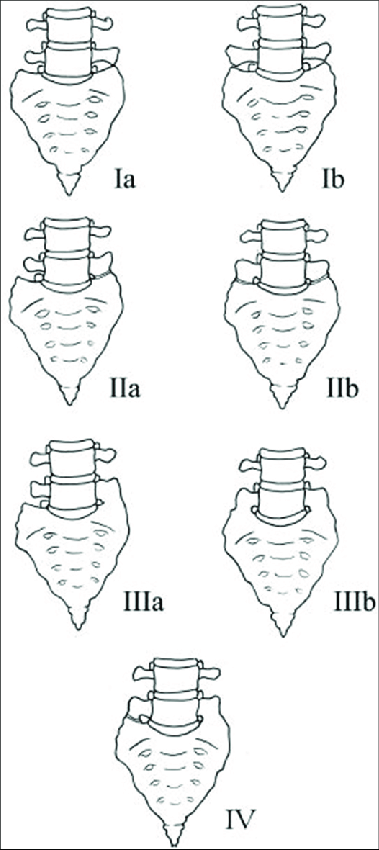case)이행성 척추(Lumbo-Sacral Transitional Vertebra)_2 (노원 진 통증의학과) : 네이버 블로그