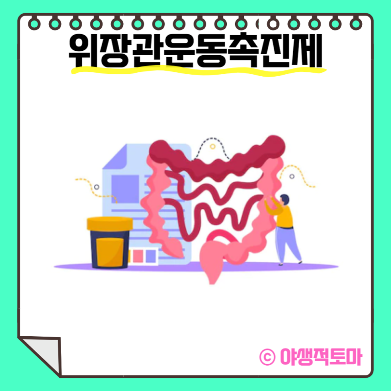 소화제 베아제 Vs 훼스탈 성분 작용기전 차이 네이버 블로그