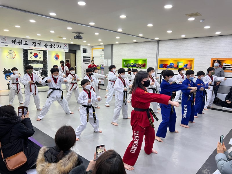2022년도 박사경희대태권도 공개승급심사 네이버 블로그