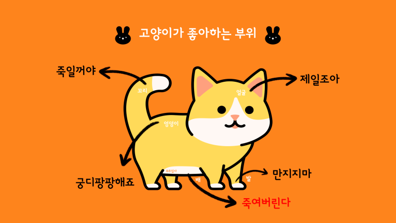 고양이가 좋아하는 부위 중에 엉덩이 궁디팡팡 꼭 해줘야 하는 이유 네이버 블로그