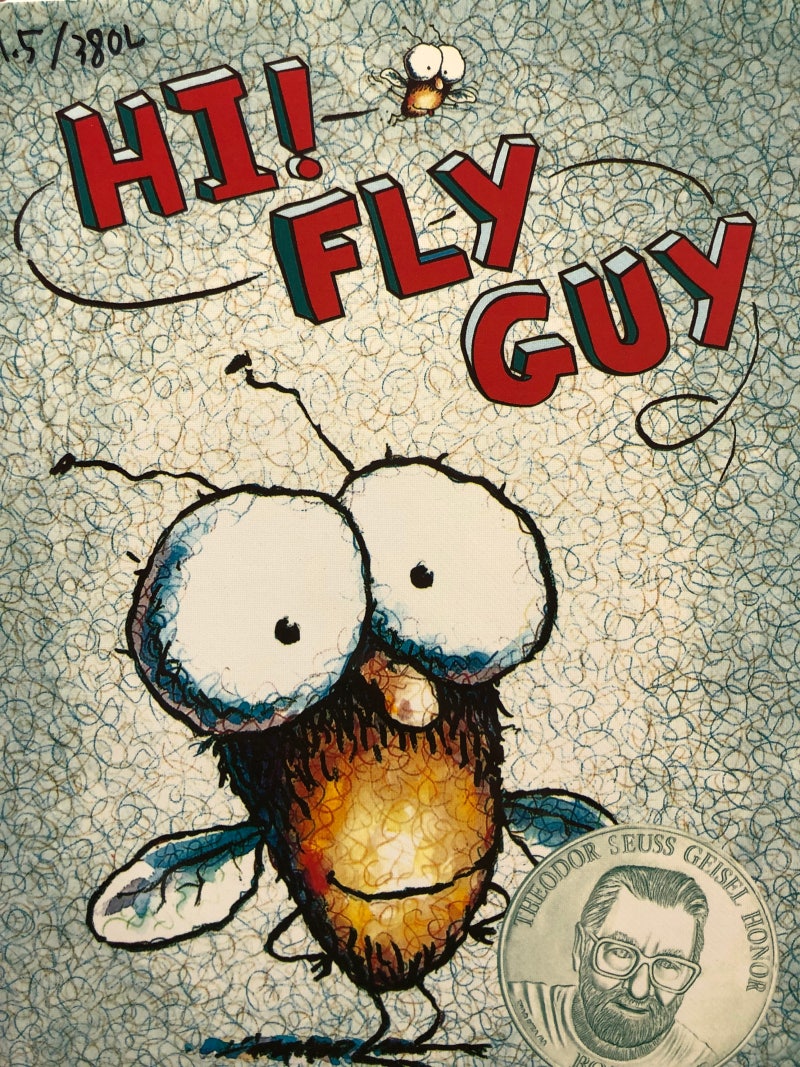 [플라이가이 영단어 정리] I spy fly guy / Hi! fly guy / prince fly guy / fly guy's ...