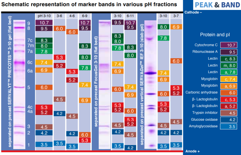 [SERVA] IEF Marker 3-10 : 네이버 블로그