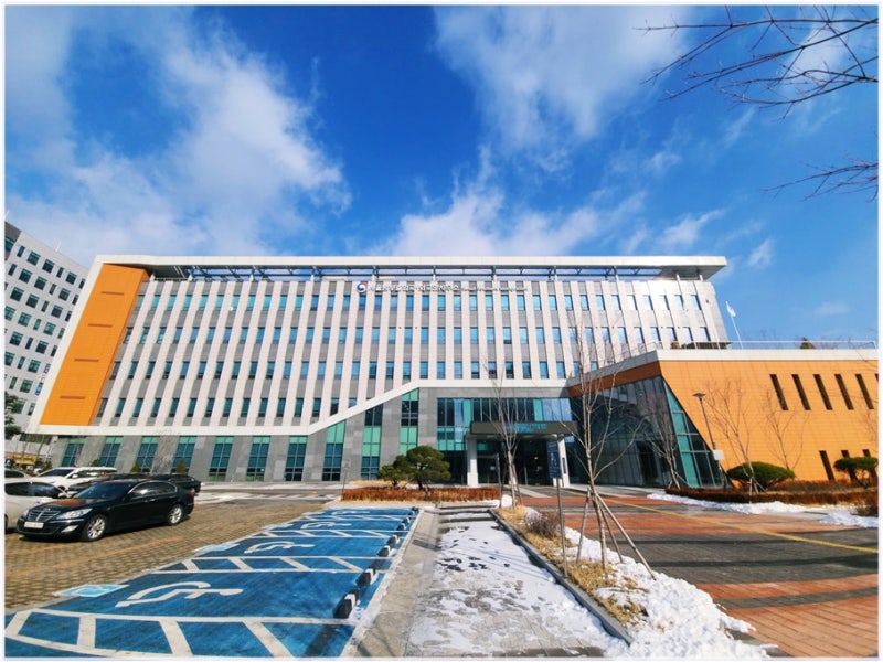 외국인 D 10비자 채용 인턴 전문직 정규직 취업 네이버 블로그