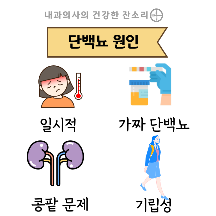 소변에서 단백뇨가 나왔다면 단백뇨 수치 원인 증상 치료 네이버 블로그