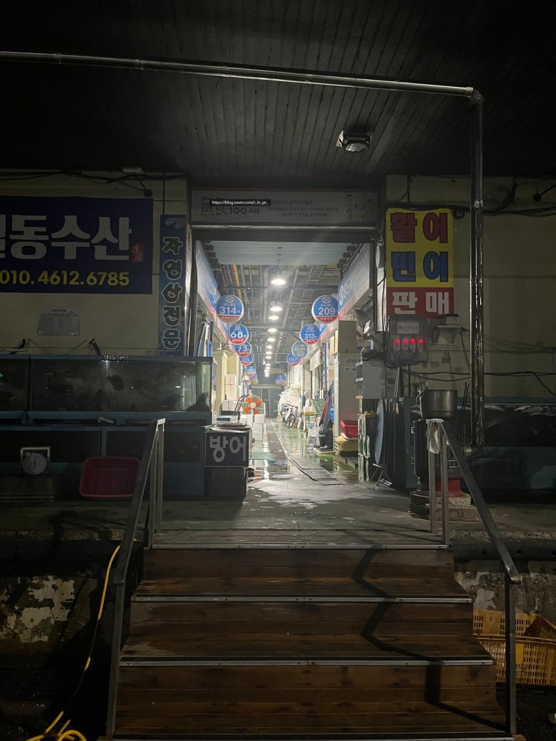 광주 풍암동 수산시장 광주 노포 광주 킹크랩 광주 조개 광주 매월동 농수산물 풍암동 술집 풍암동 맛집설선물