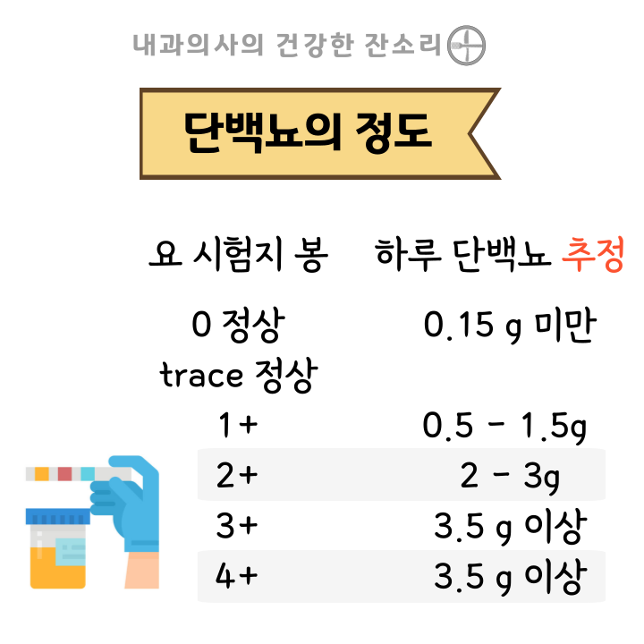 소변에서 단백뇨가 나왔다면 단백뇨 수치 원인 증상 치료 네이버 블로그