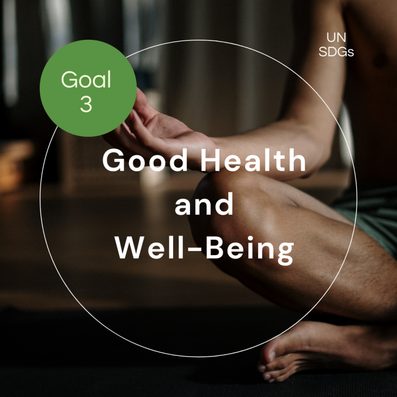 Goal 3 건강과 웰빙 UN SDGs로 지속가능발전하기 : 네이버 블로그