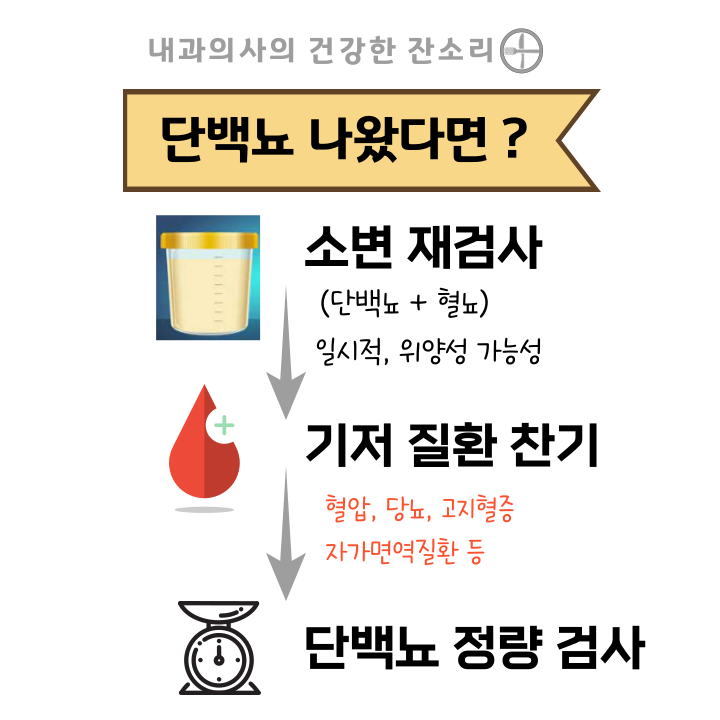 소변에서 단백뇨가 나왔다면 단백뇨 수치 원인 증상 치료 네이버 블로그