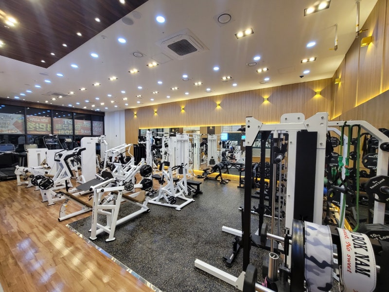 배곧피티 Pt 리버스 펙덱플라이 효과는 네이버 블로그