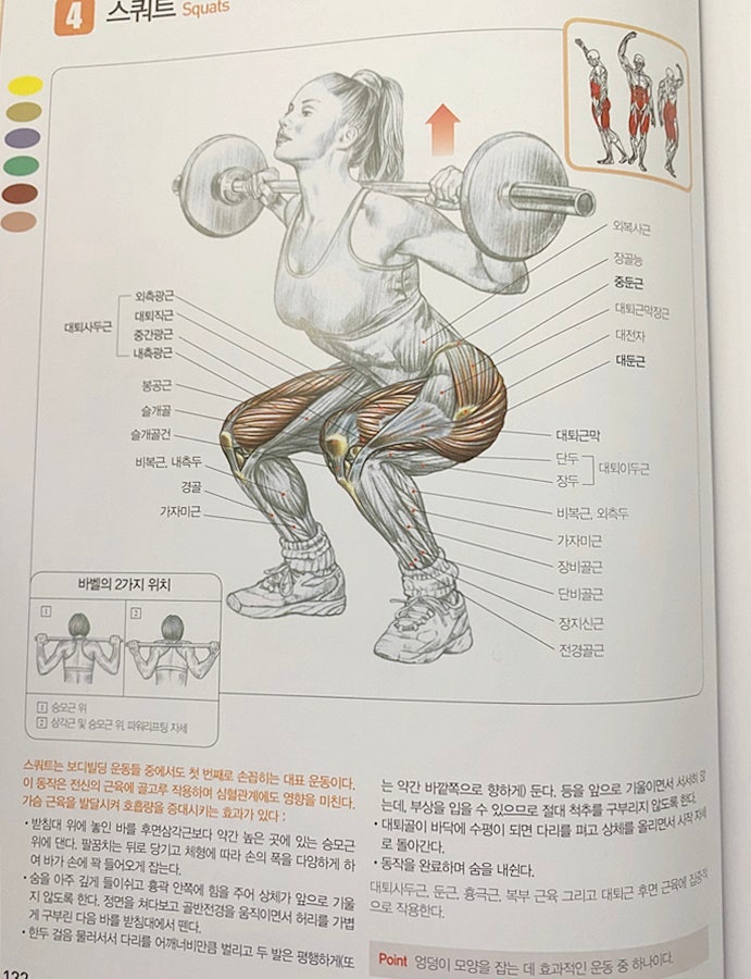 매일 스쿼트 100개 칼로리 뱃살 없애주는 다이어트 운동효과 맨몸스쿼트 자세 호흡법 네이버 블로그