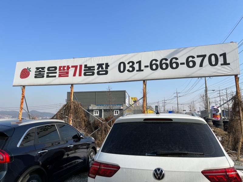 평택 삼촌농장 아이랑 딸기체험과 실내놀이터 단체존 이용 후기 네이버 블로그