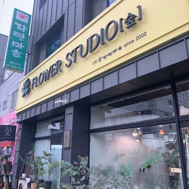 익산꽃집 원대꽃집 플라워스튜디오 숲에서 꽃다발 주문했어요 네이버 블로그