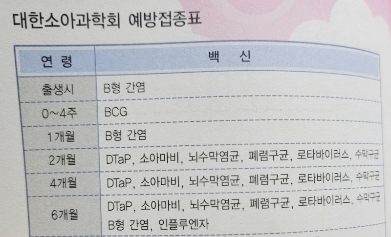 Bcg 결핵예방접종 경피용 피내용 차이 네이버 블로그