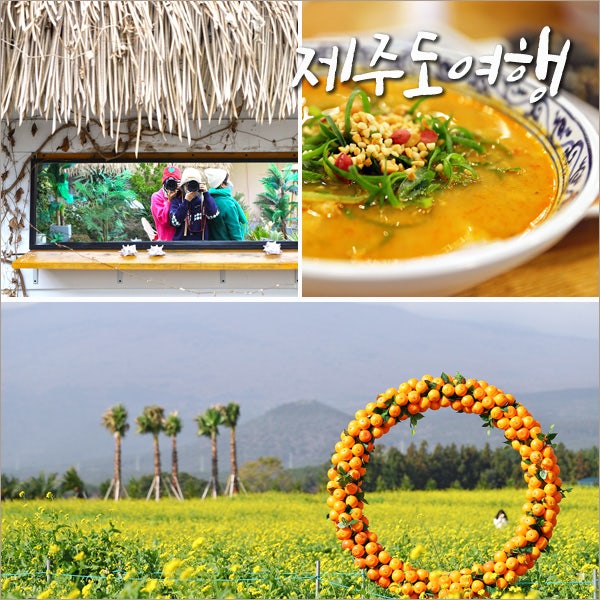 1월 제주도 가볼만한곳 겨울 놀거리 등 제주 명소 따라 네이버 블로그