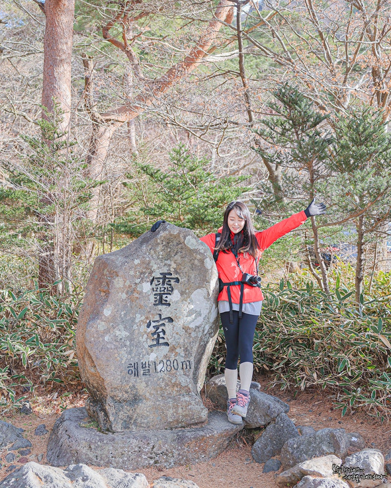 제주도 한라산 등산코스 영실코스 예약없이 한라산 등반 가볍게 윗세오름 네이버 블로그